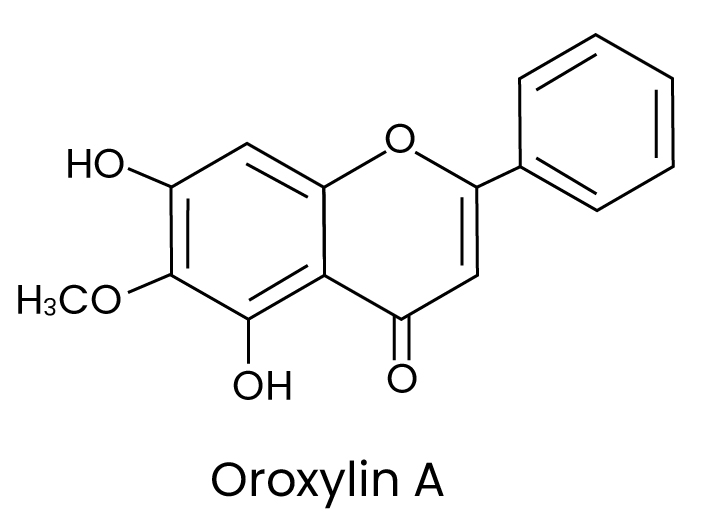 Chemistry – Sabroxy®